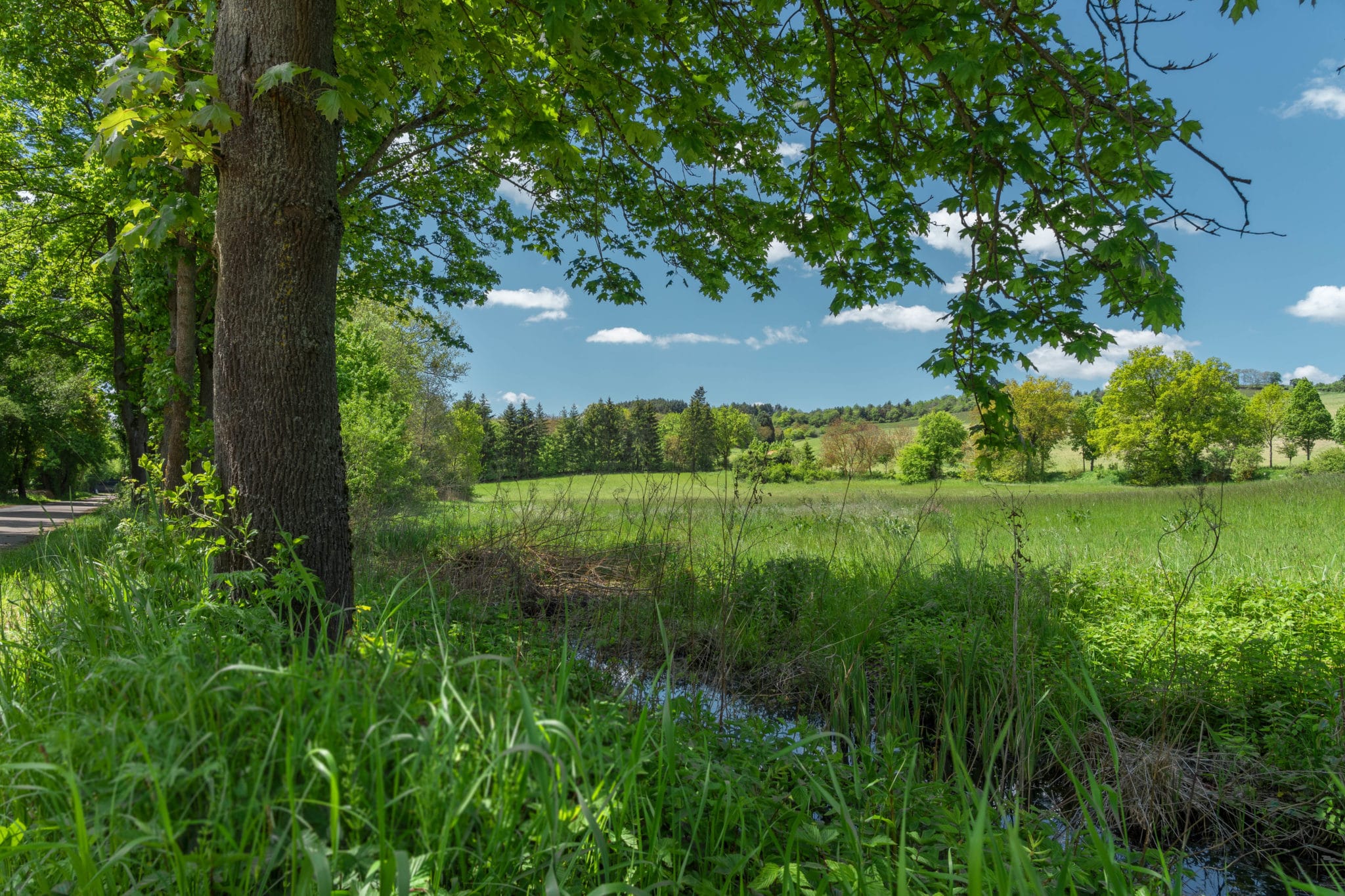 Nieder-Wiesen – verträumte Urlaubsidylle in Rheinhessen